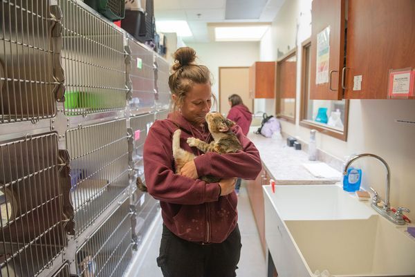 Home : York County SPCA