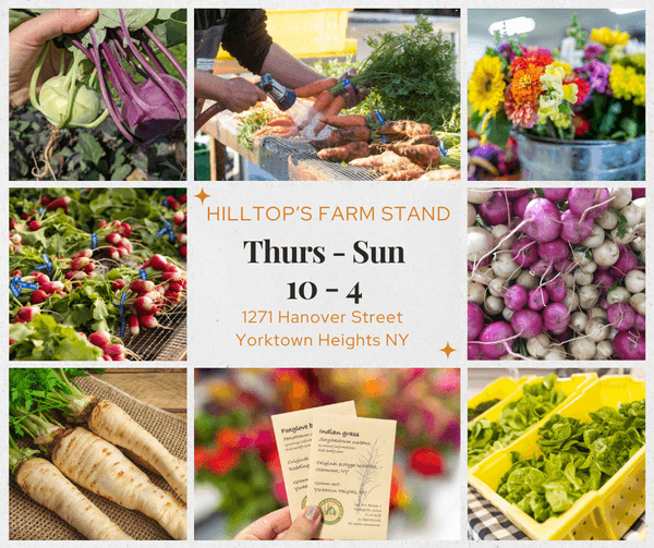 Home : The Friends of Hilltop Hanover Farm