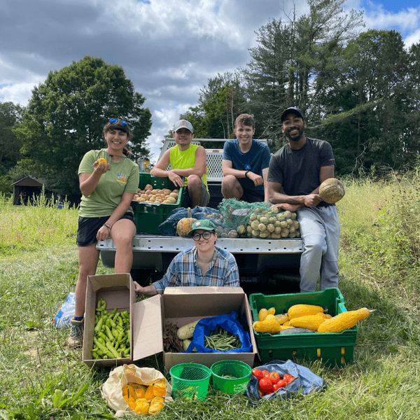 Community Food Initiatives