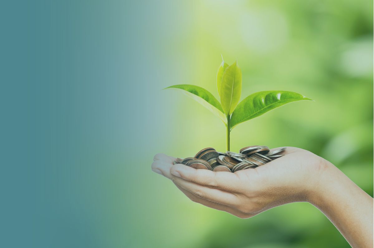 Home : Monroe Foundation