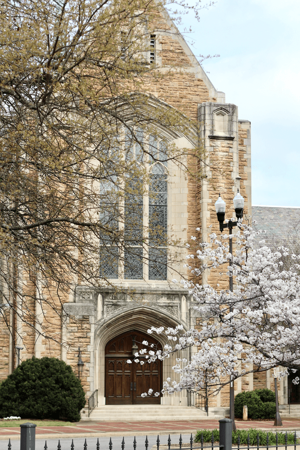 Lenten Chapel & Lunch : Holy Week at IPC