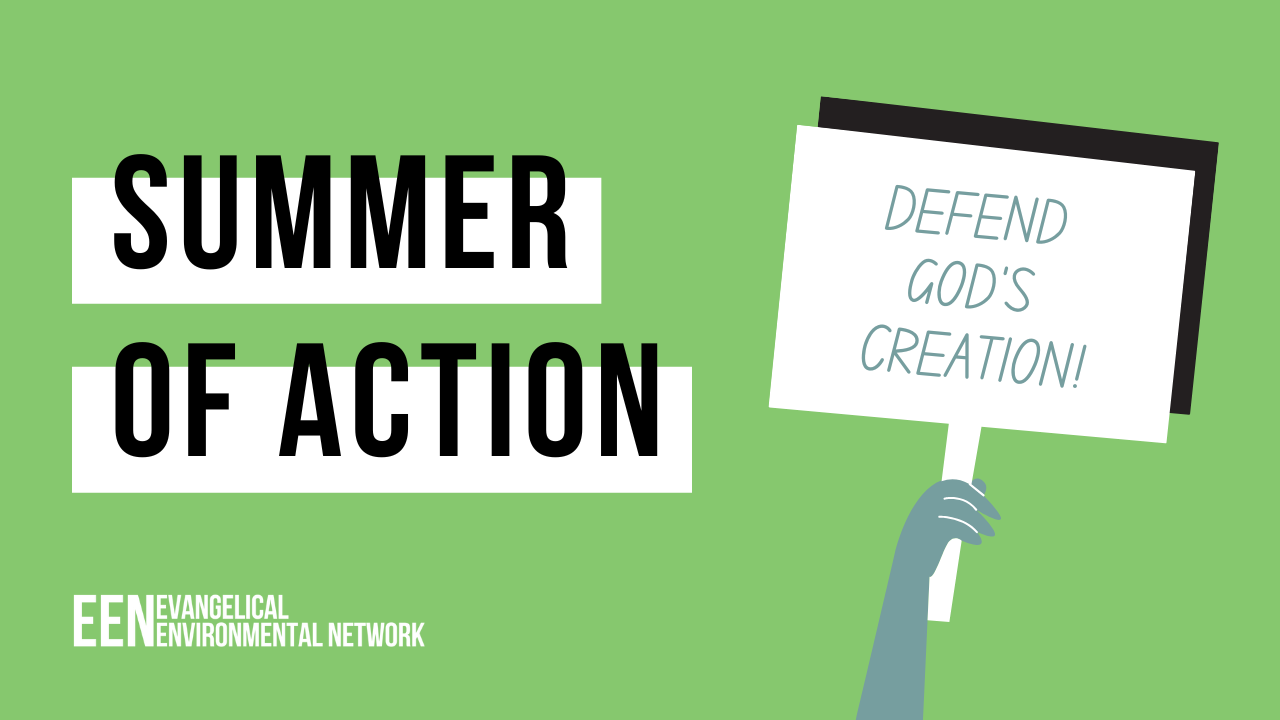 EEN's Summer of Action