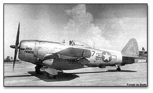 P-47 Thunderbolt: Aviation Darwinism