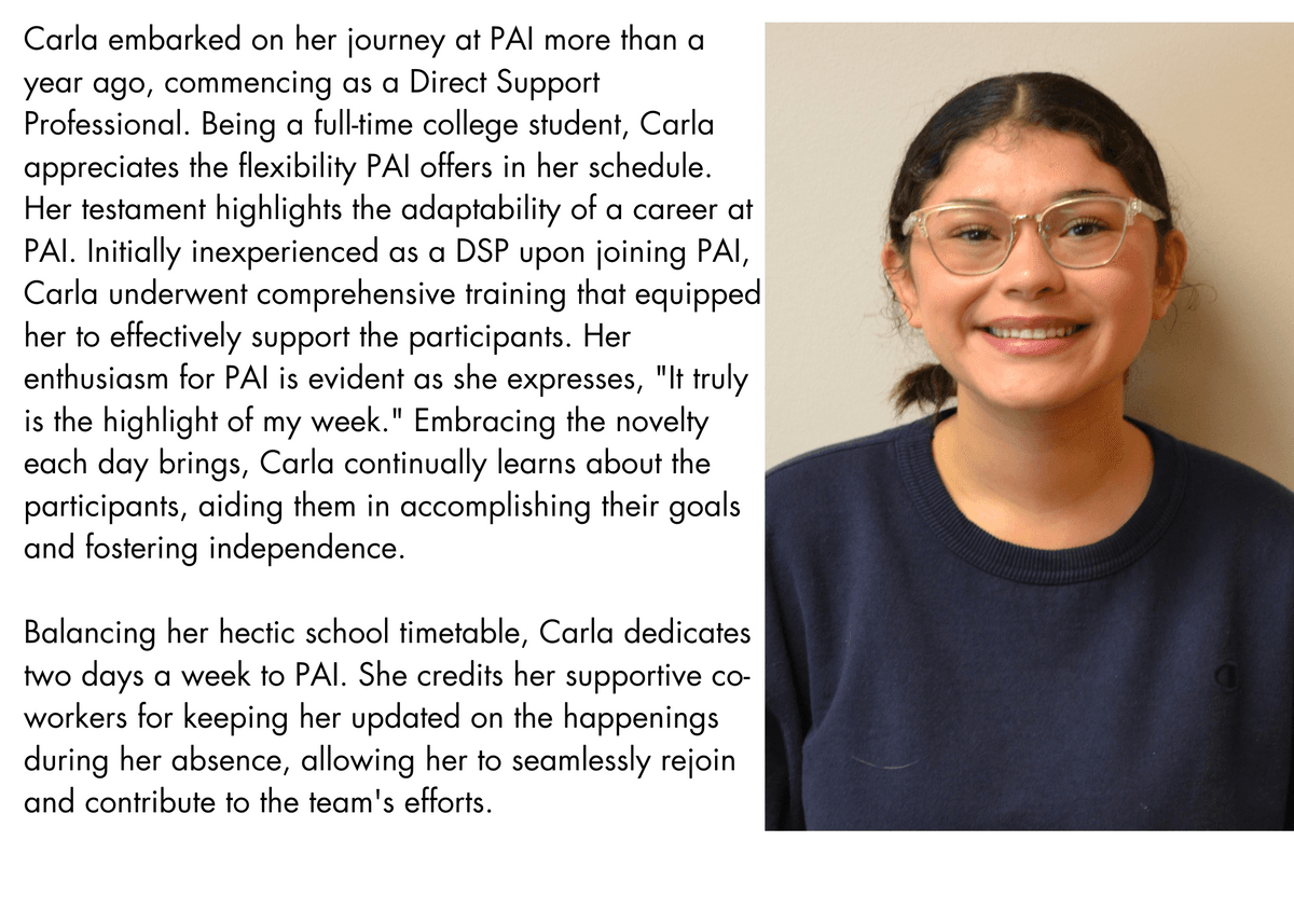 Careers : Who We Are : PAI