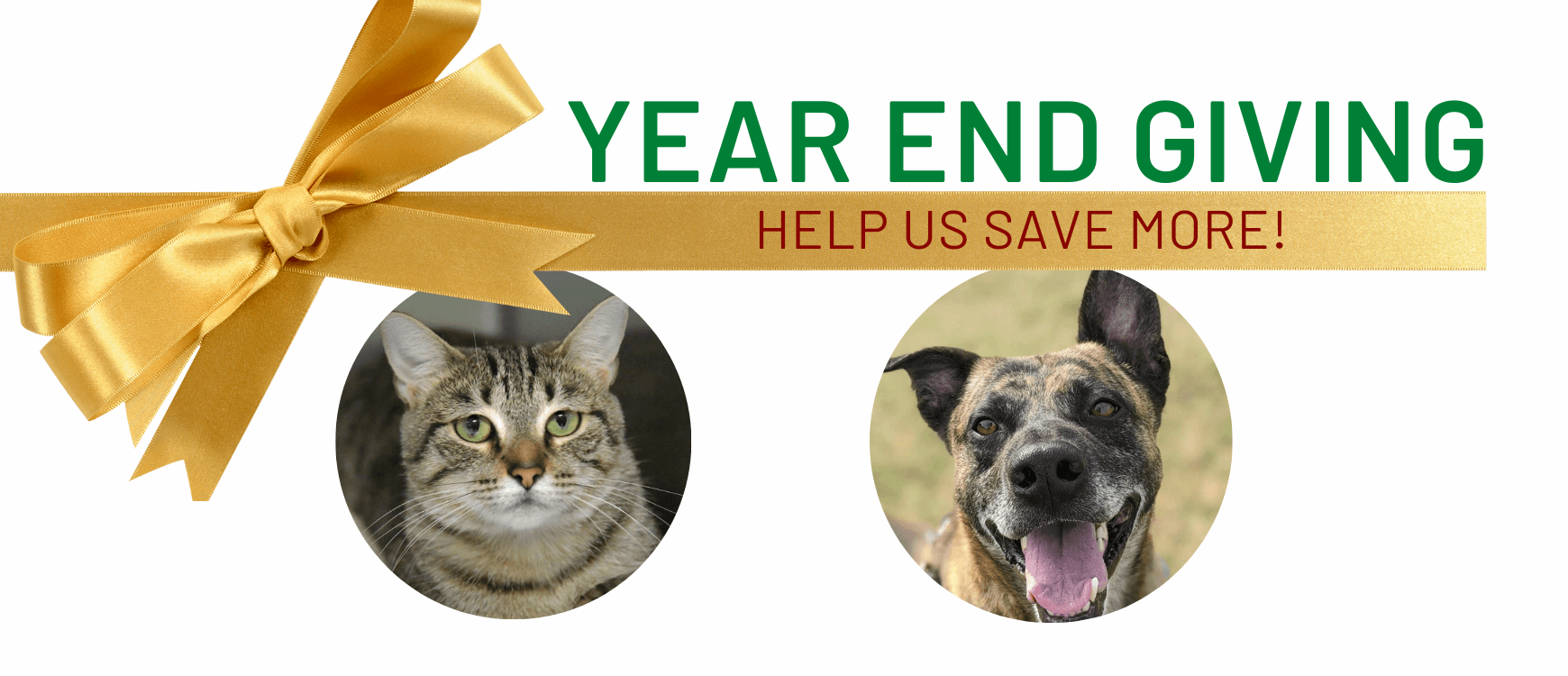 Home : Humane Society of York County