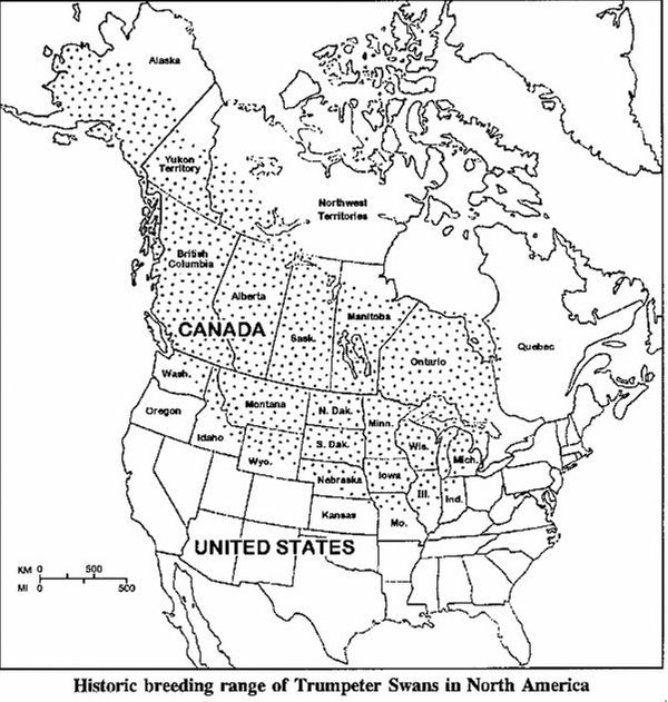 What We Do | Trumpeter Swan Society