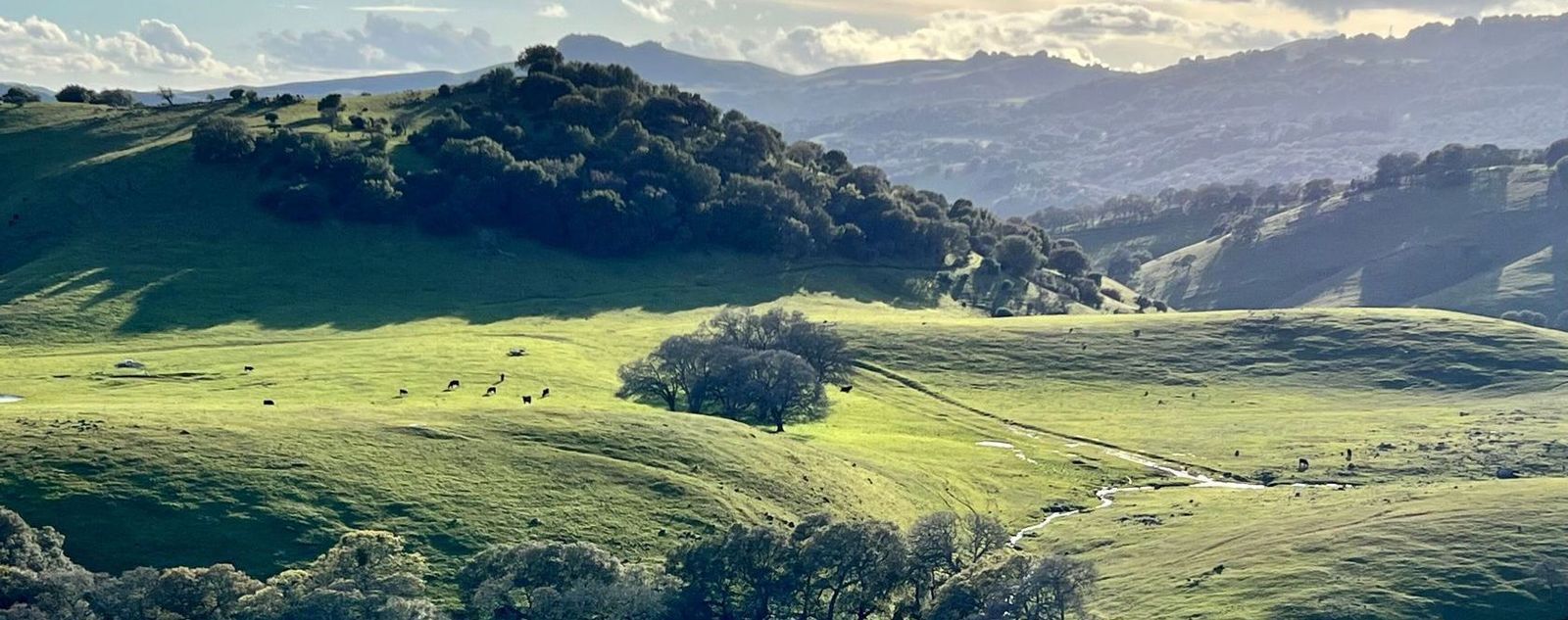 Patwino Worrtla Kodoi Dihi : Protected Lands : Solano Land Trust