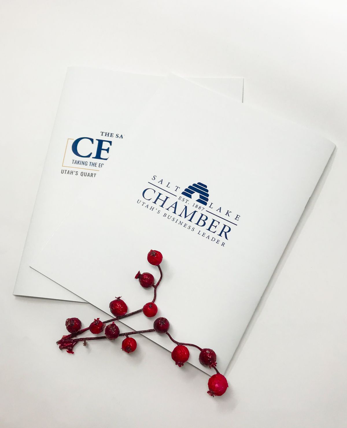 Annual Report Printing & Design in Salt Lake | Presto Print