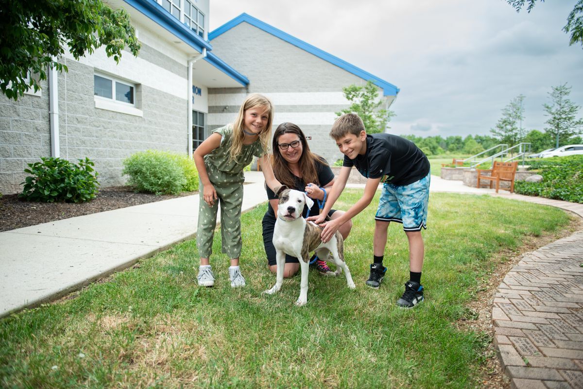 Home : York County SPCA
