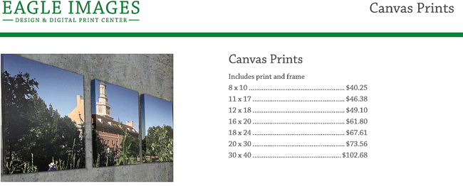 University of North Texas : Eagle Images : Canvas Prints