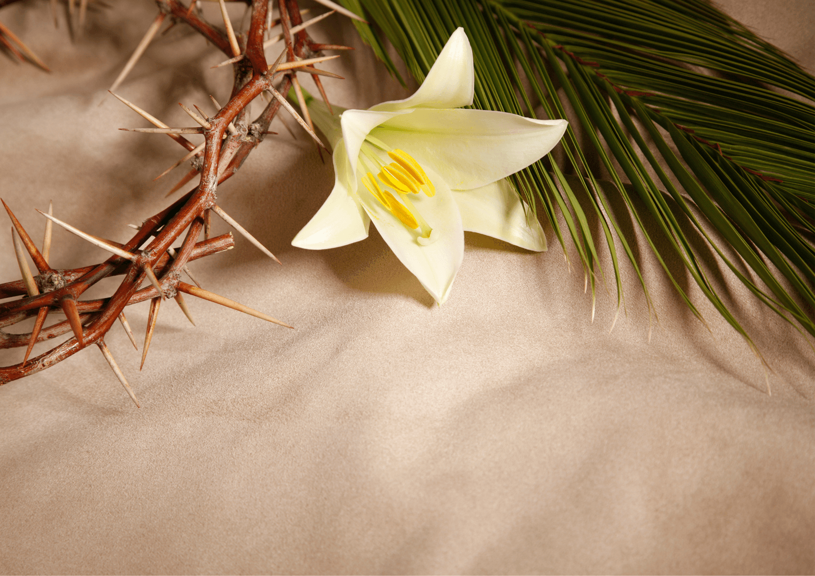 Five ways to make Holy Week more holy