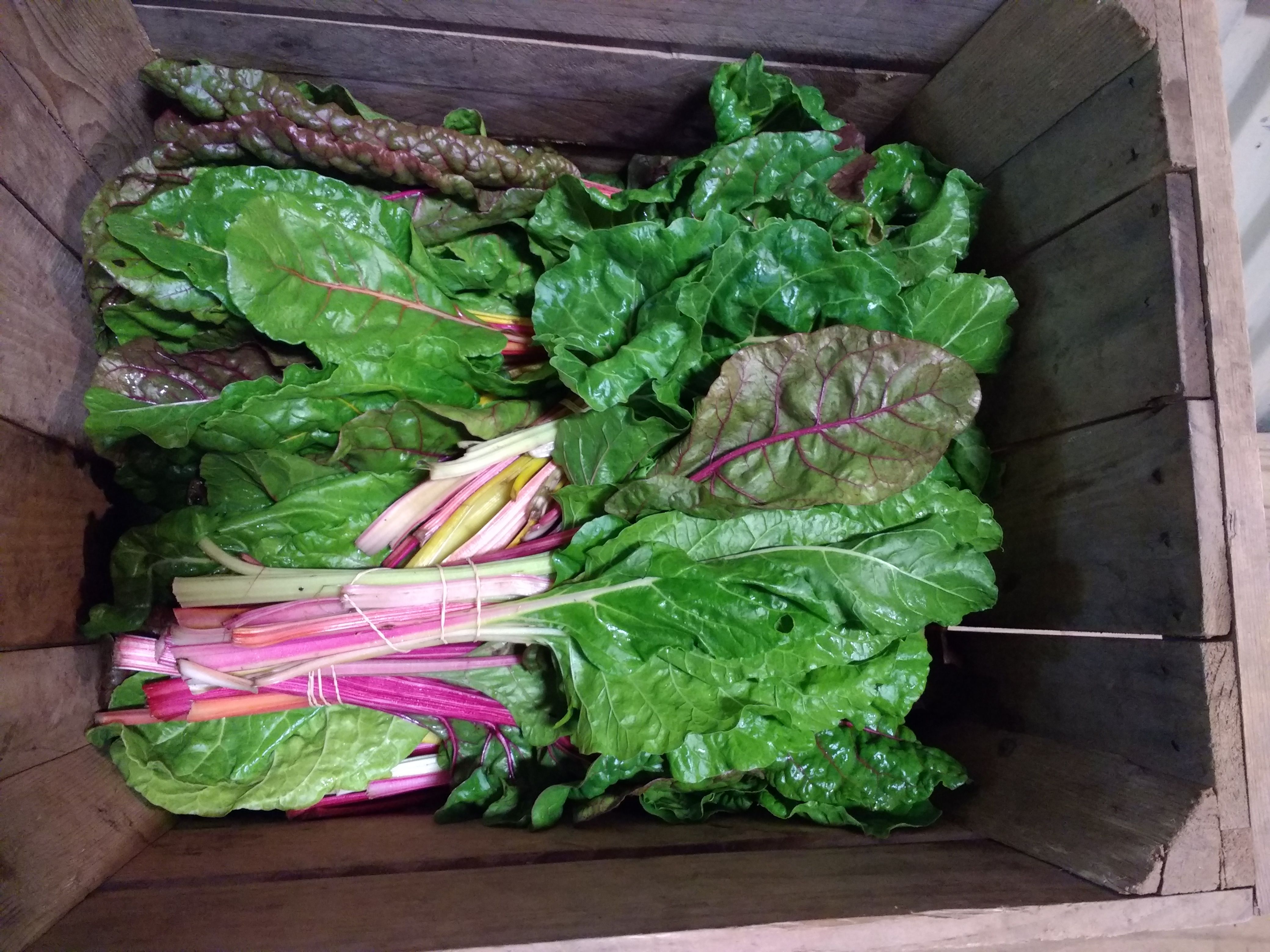 Snipes Farm and Education Center Home