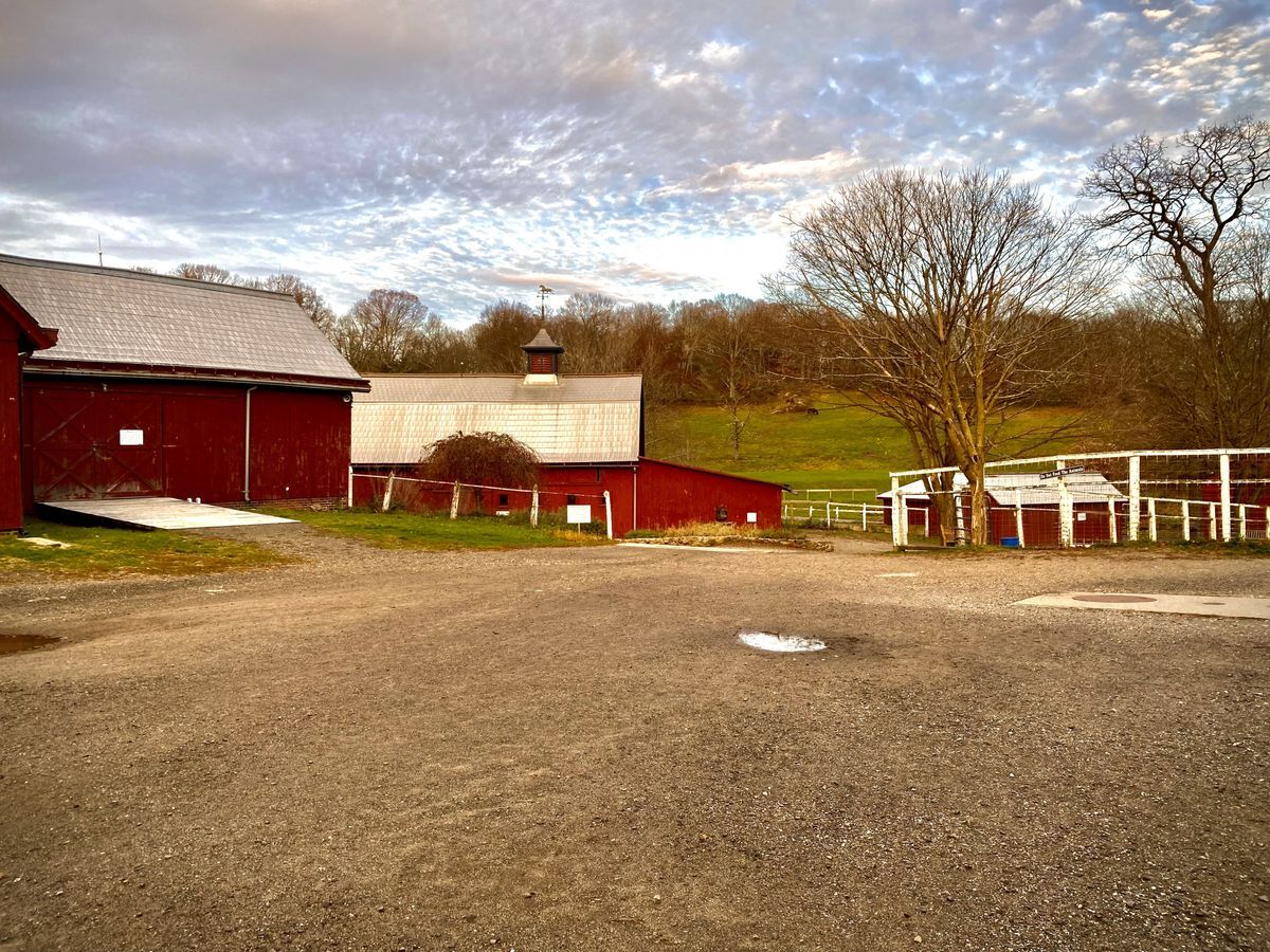 Ways to Help : How to Help : Muscoot Farm