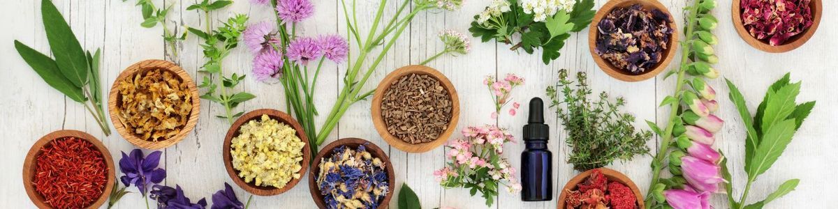 Harnessing the Healing Power of Plant Medicines