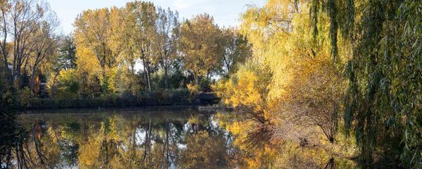 The Nature Reserve : What We Do : Fauna Foundation