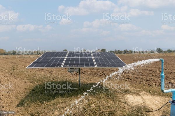 Solar Powered Hand Pumps : What We Do : Sher Water Foundation