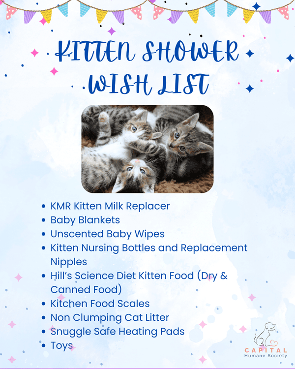 Capital Humane Society | Lincoln, NE | Home