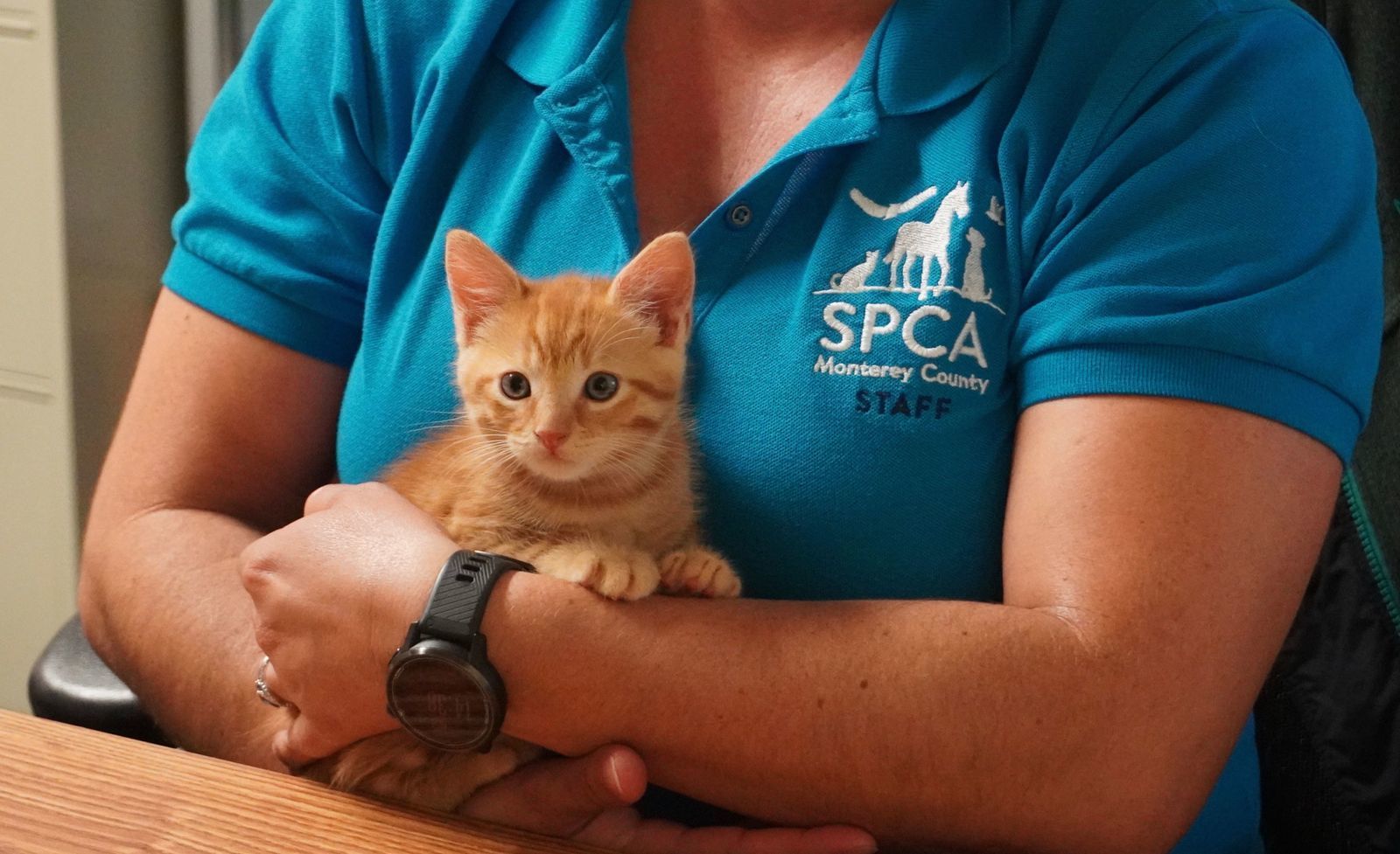 Careers at SPCA Monterey County
