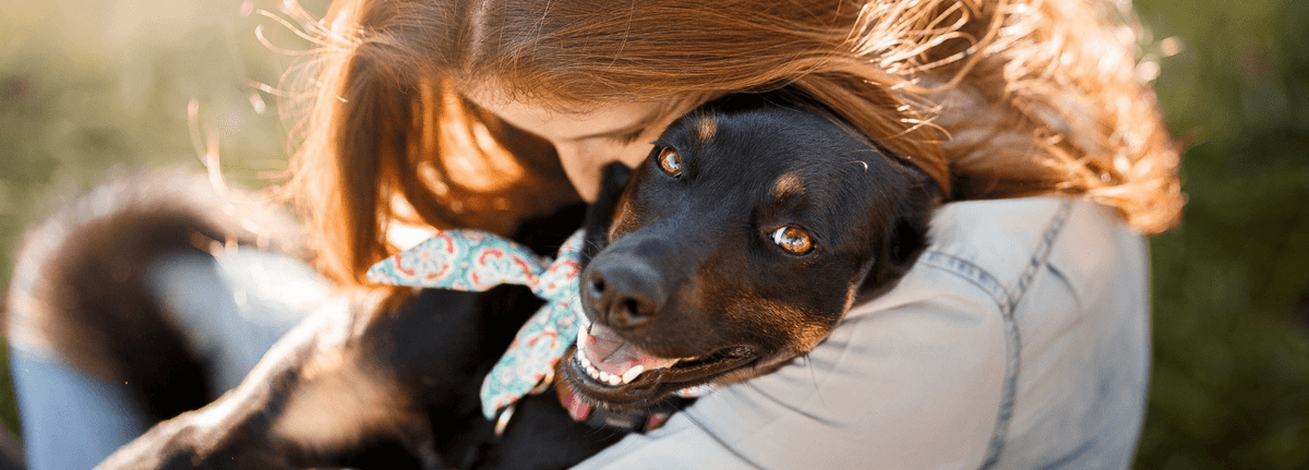 SPCA Monterey County Foster to Adopt