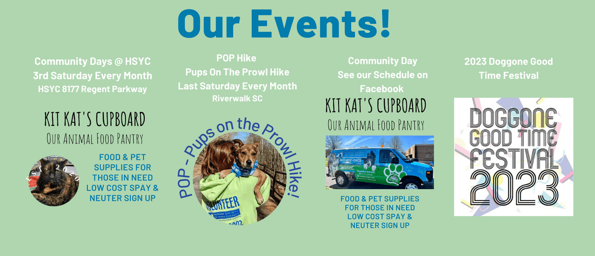 Home : Humane Society of York County