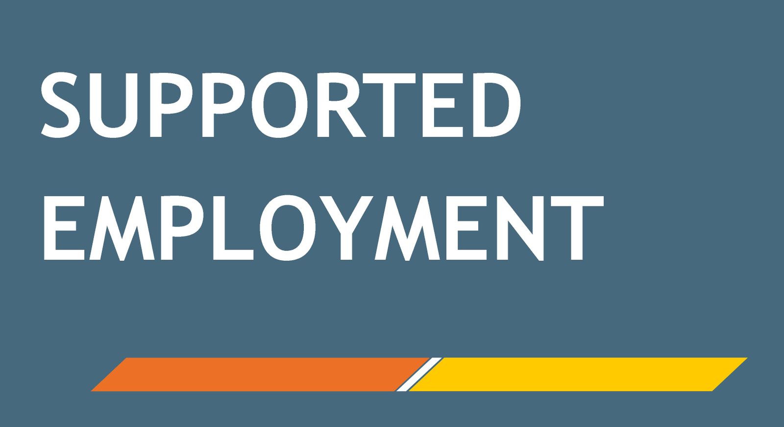 Vision Employment Services & Training