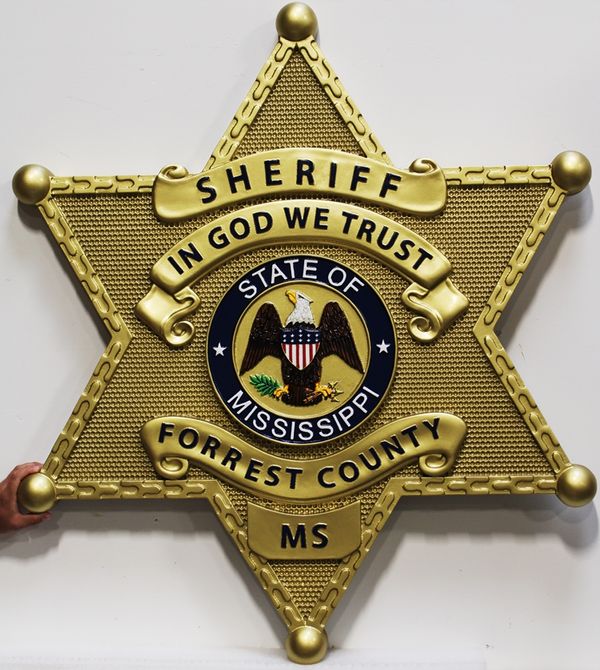 3D Brass,Silver, Painted or Wood Police Badge & Patch Plaques