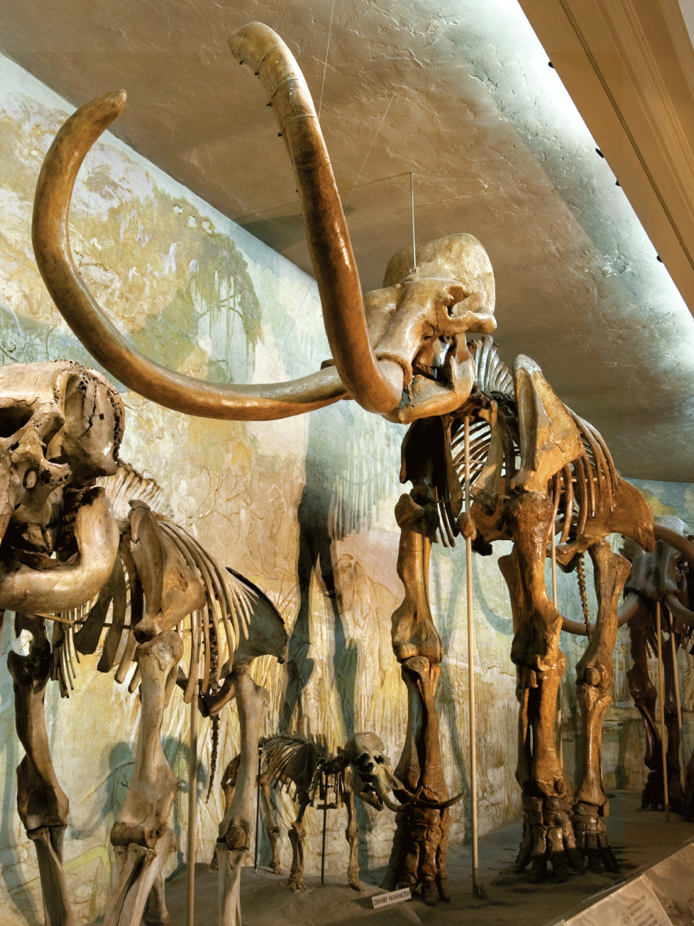 University of Nebraska State Museum-Morrill Hall