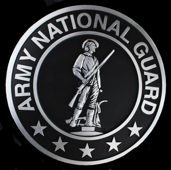3D Painted, Wood, Bronze, Brass, Silver Army Plaques