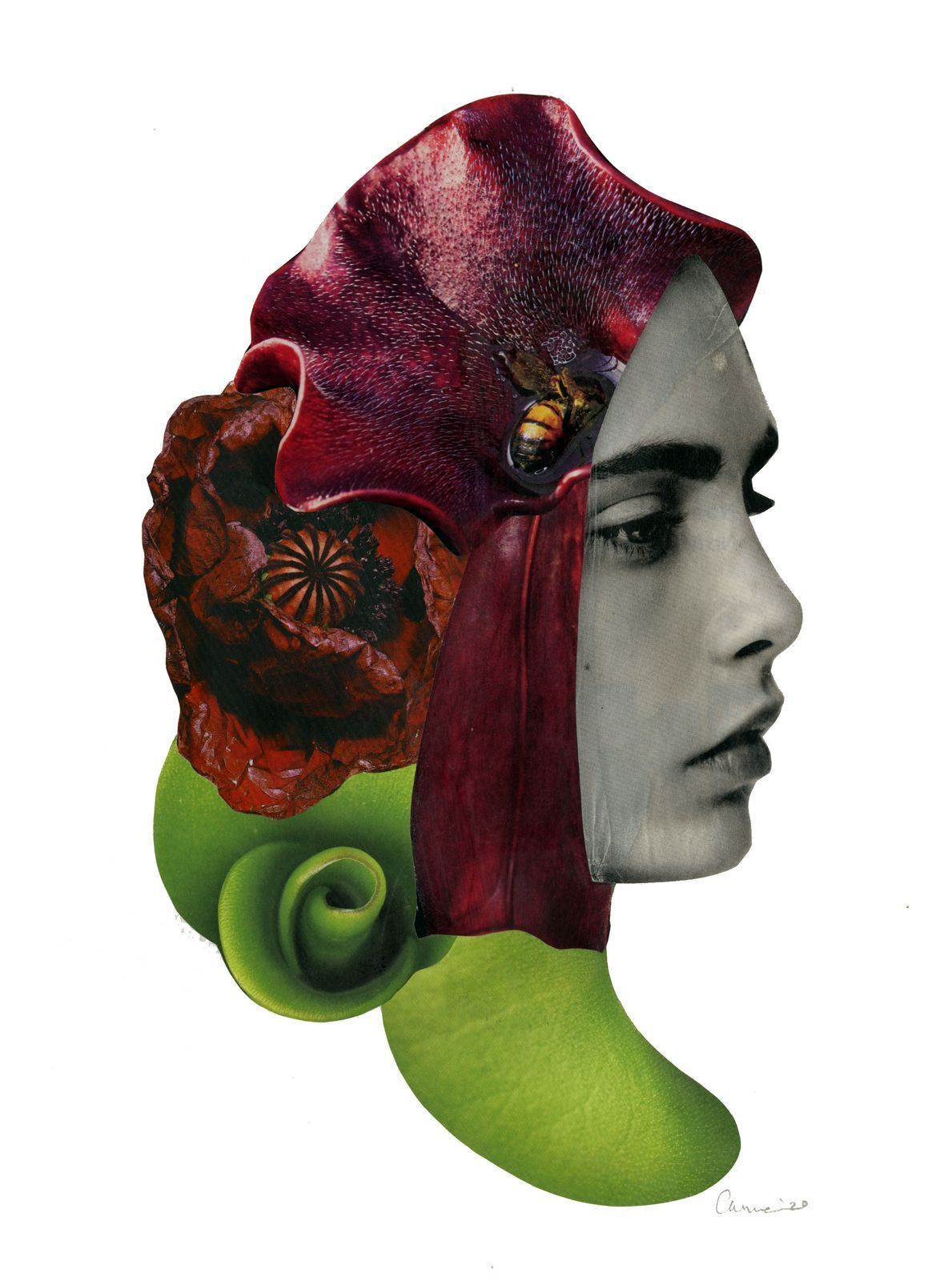 Cameo Appearance Creative