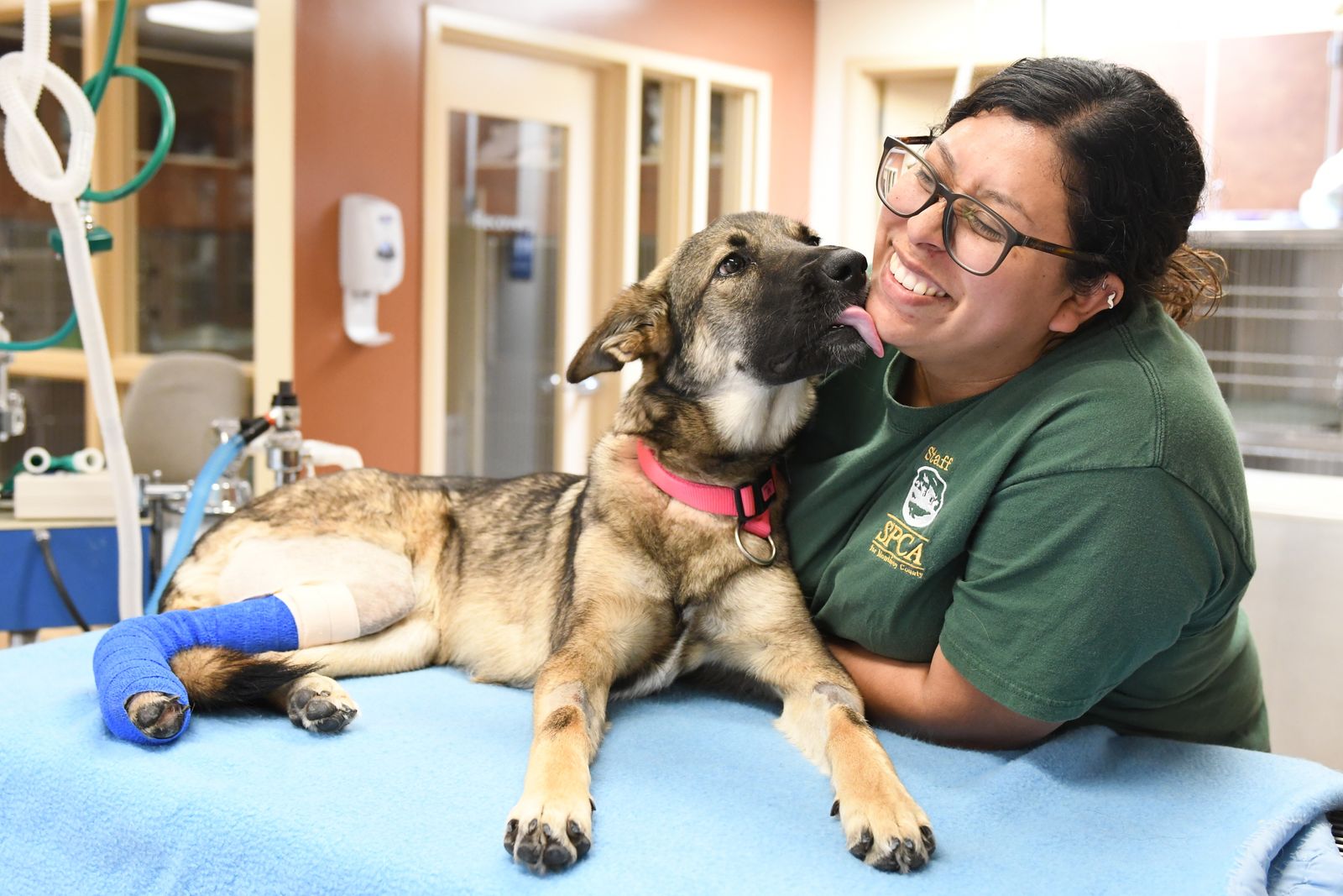 Getting Started - SPCA Monterey County