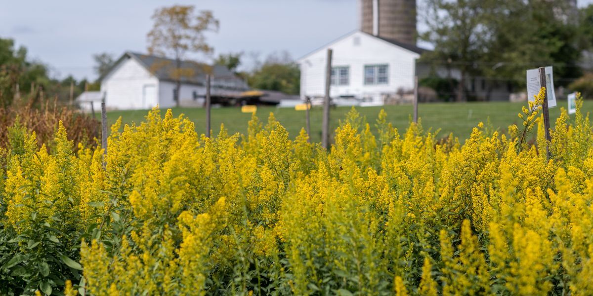 Native Plants Program : Native Plants Program : Programs : The Friends ...