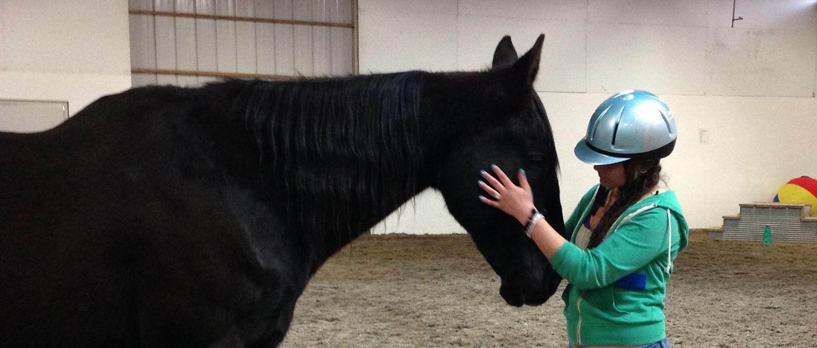 Equine-Assisted Learning : What We Do : Windhorse Equine Learning