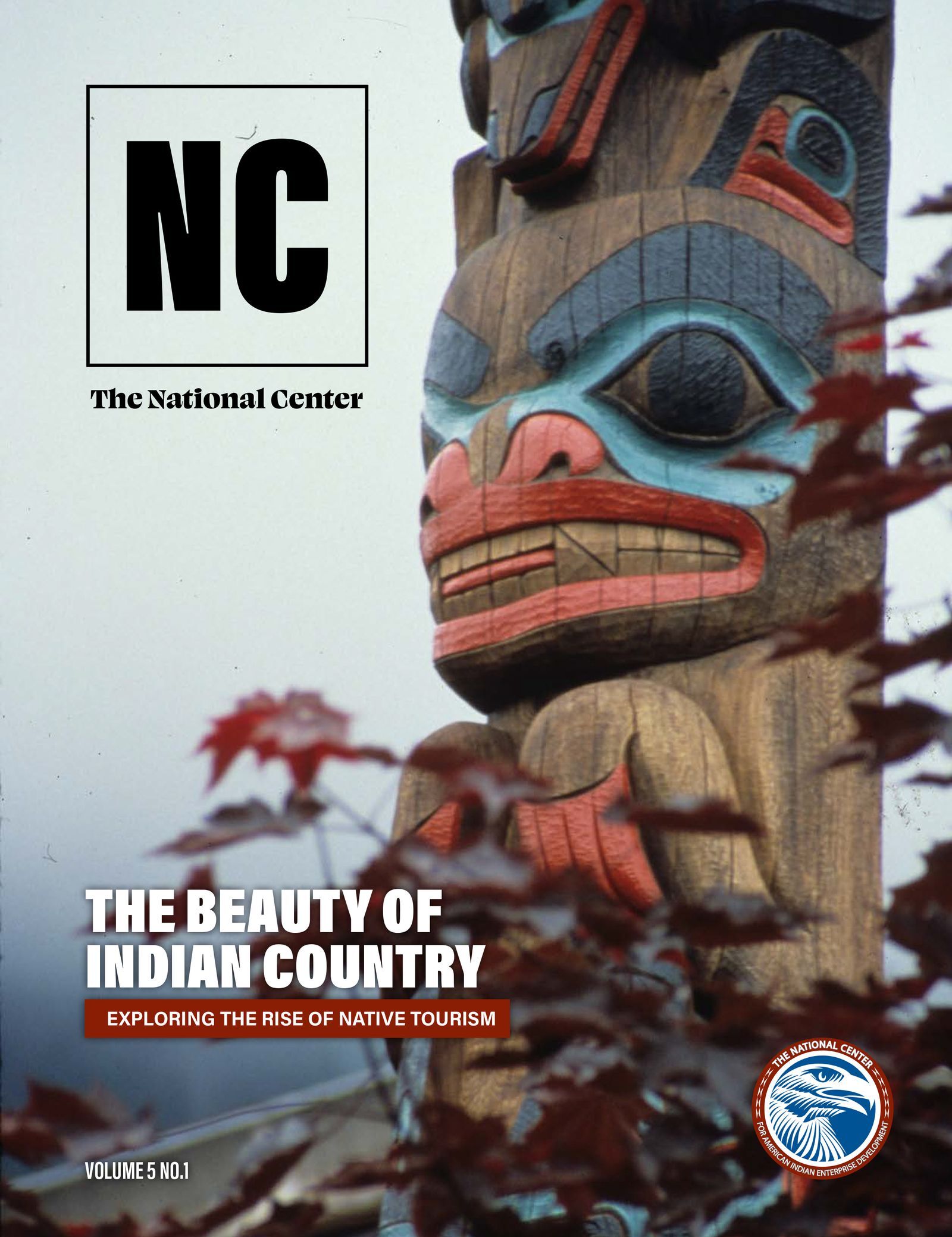 Home : National Center for American Indian Enterprise Development (NCAIED)