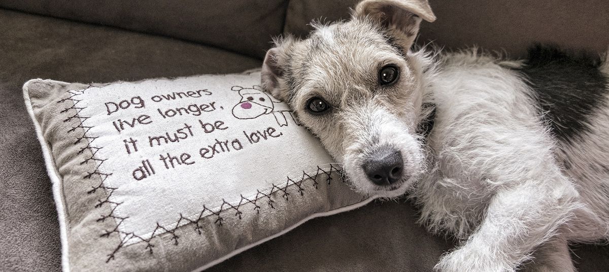 Home : Planned Pethood, Inc.