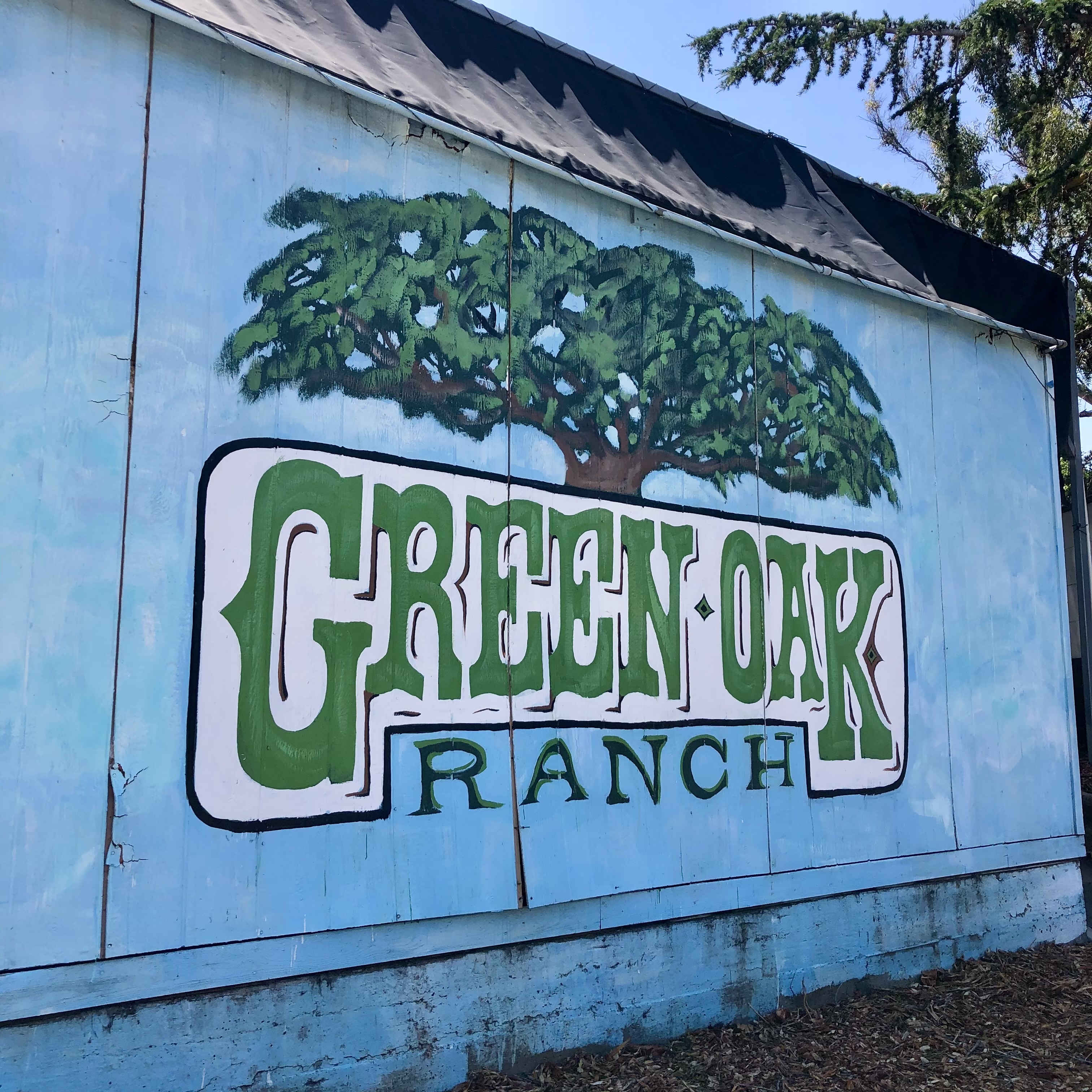 Camps at Green Oak Ranch - Urgent Needs