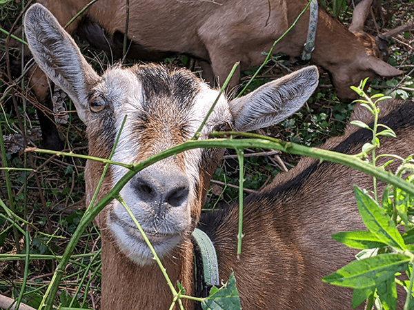 News Stories : Benedictine Sisters of Erie