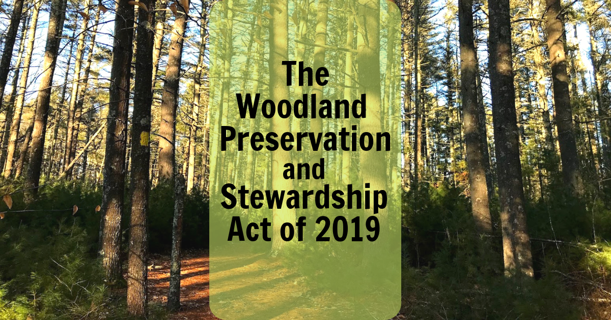 Action Needed to Protect Rhode Island’s Forests