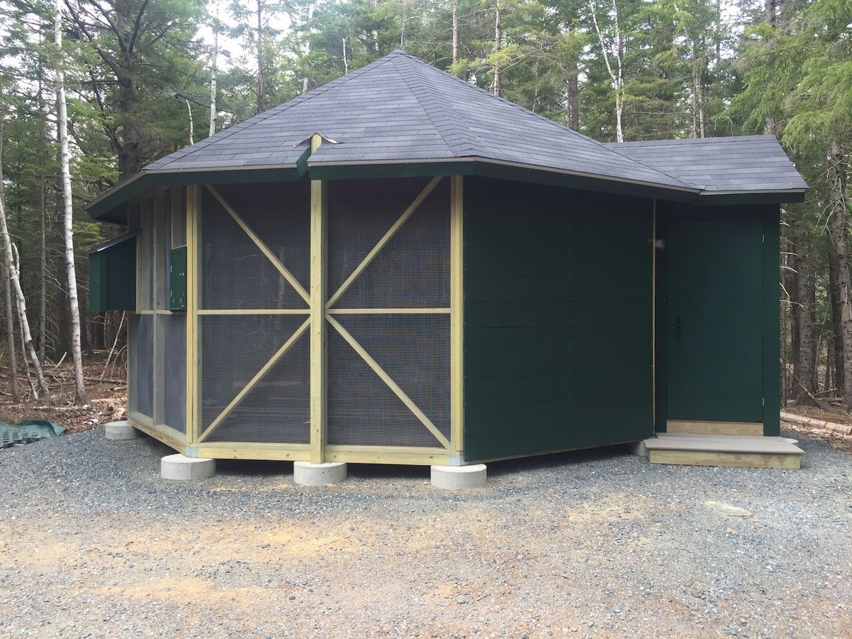 General Information : Found An Injured Animal? : Acadia Wildlife Center