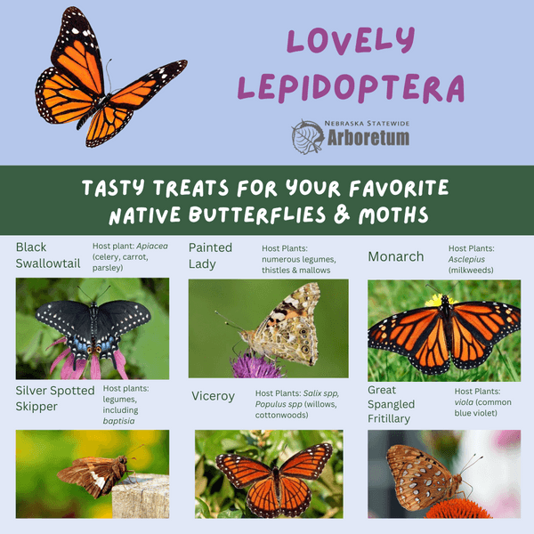 Native Plants that Support Nebraska Butterflies and Moths