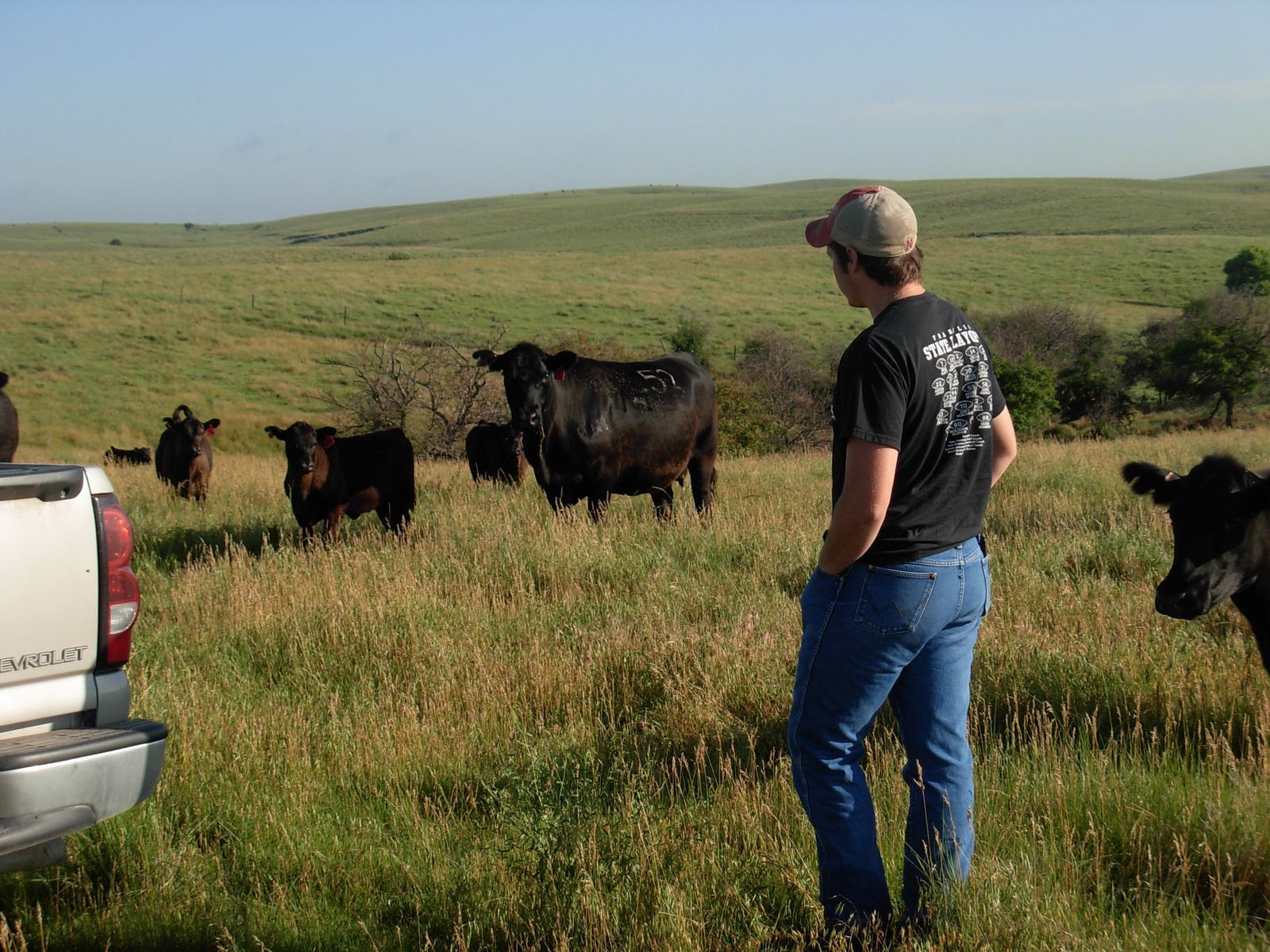 Nebraska FFA Foundation : Home