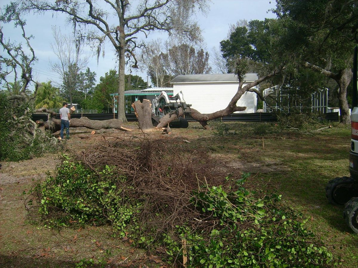 Building the Museum Building : Photo Gallery : Visit : Museum of Vanning