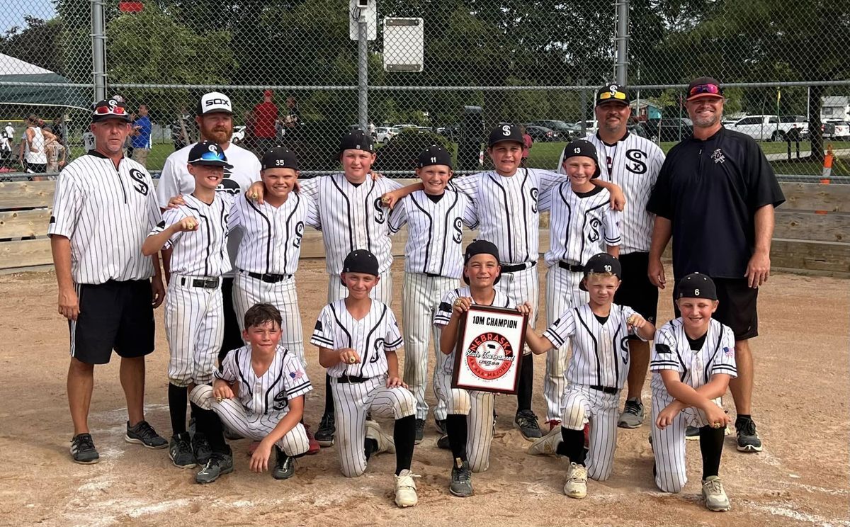 Lincoln Sox Baseball