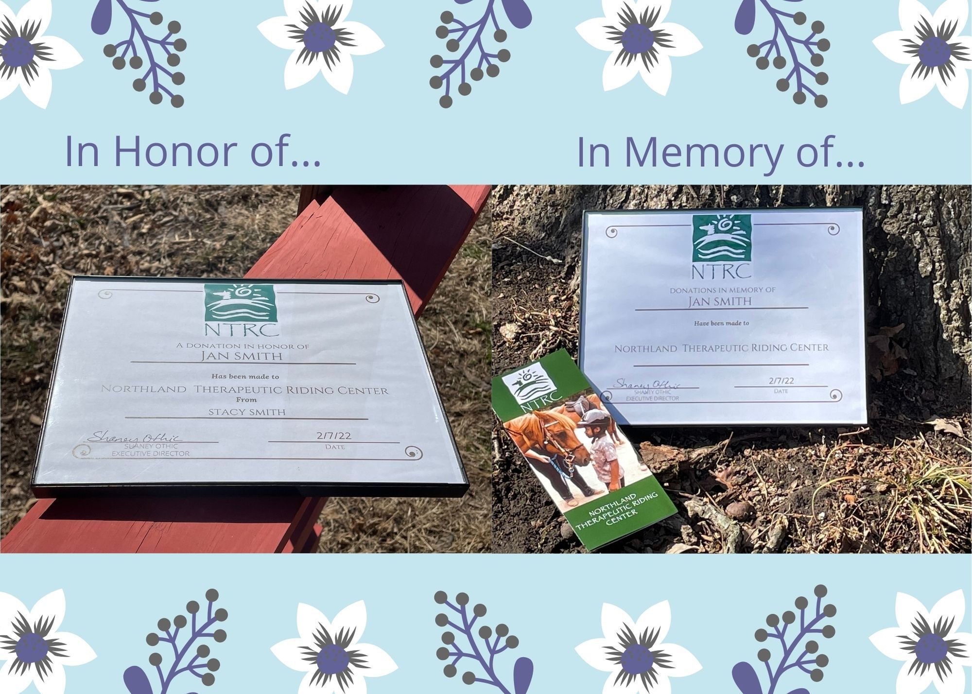 Donate In Honor Or In Memory How To Help Northland Therapeutic 