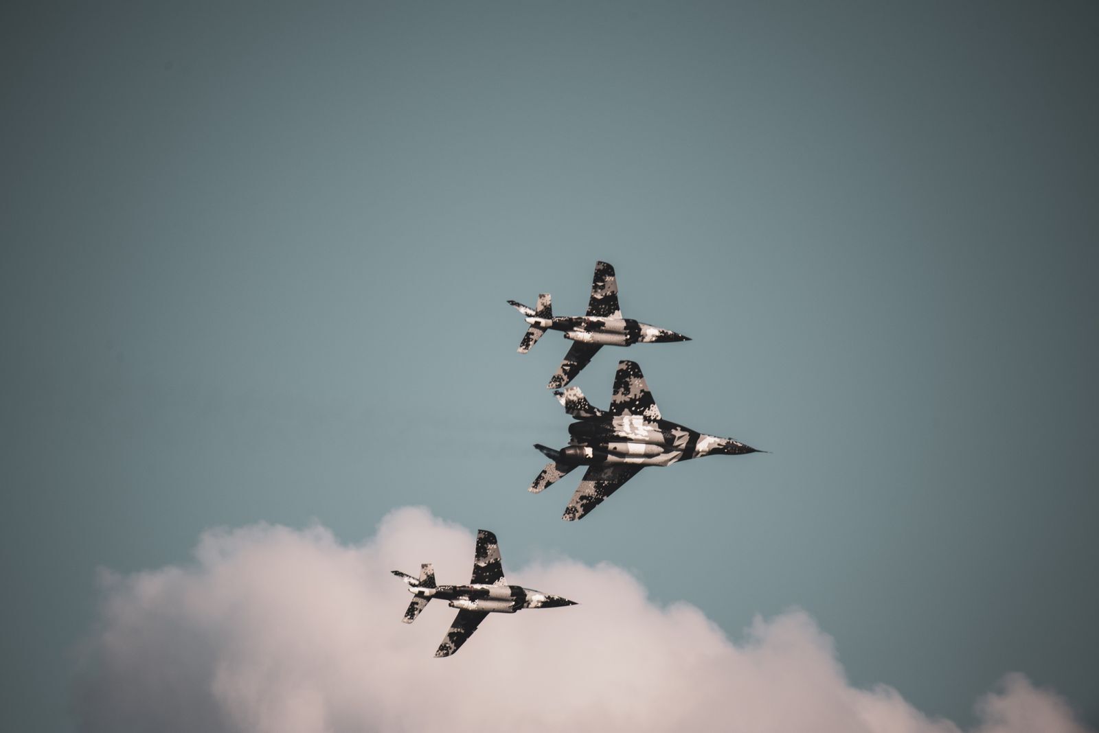 Leadership : About Us : Yellow Jacket Flying Club