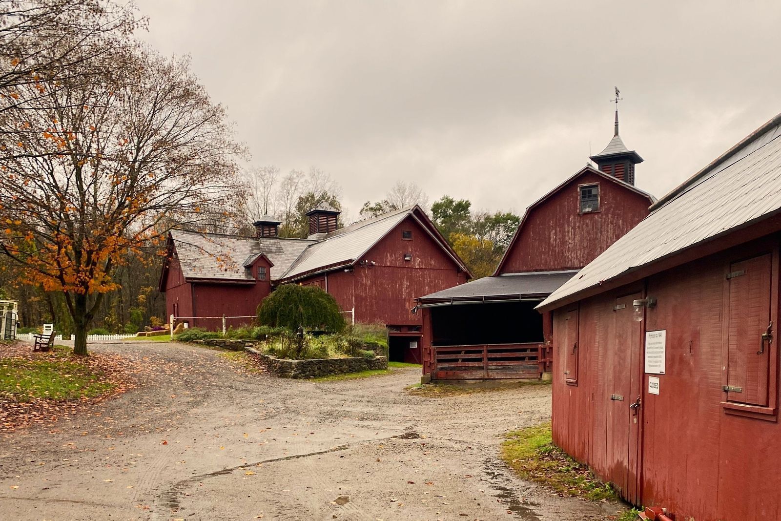 Ways to Help : How to Help : Muscoot Farm