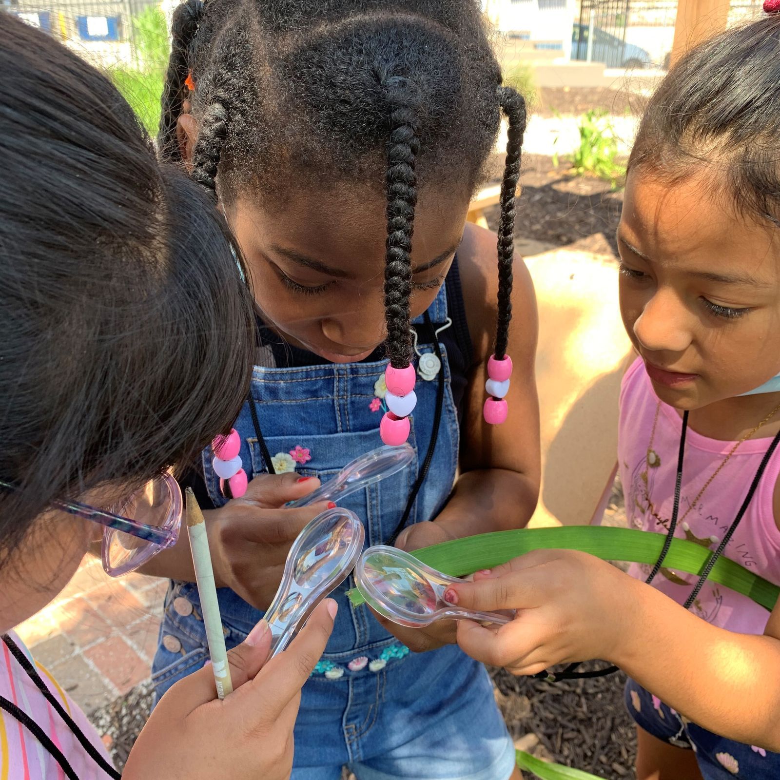 Environmental Education Programs for Classrooms & Groups | Keep Omaha ...