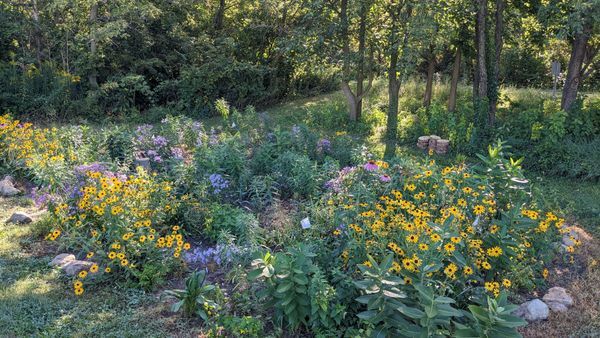 Home : Madison Soil and Water Conservation District