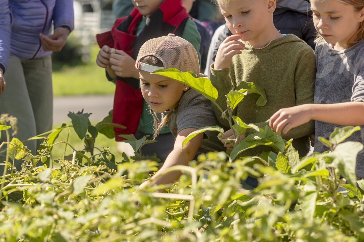 Home : The Friends of Hilltop Hanover Farm