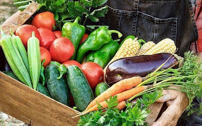 Snipes Farm and Education Center Home