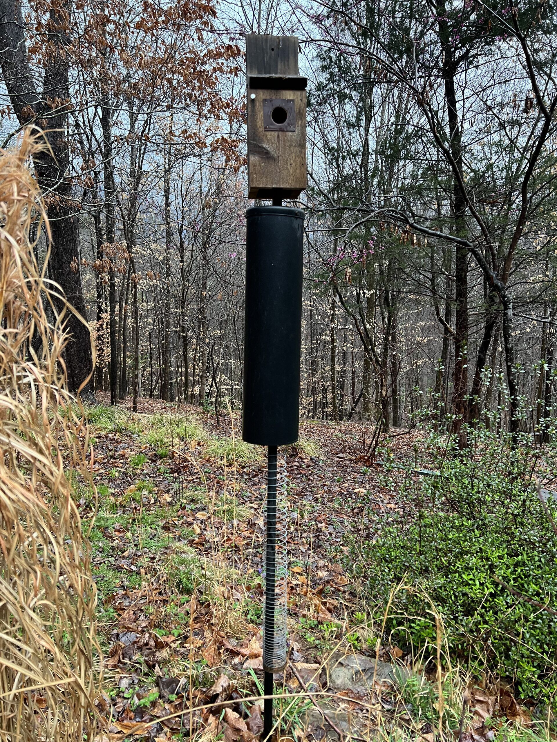Snake Predator Guard Bluebird House